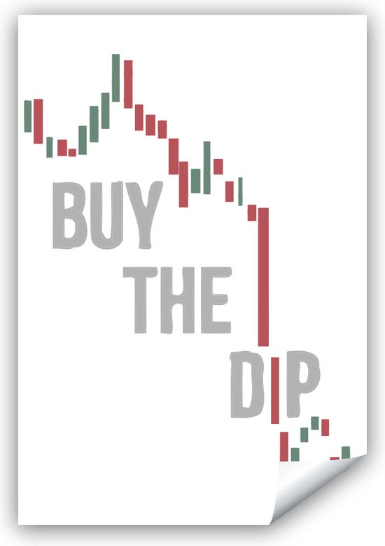 Buy the Dip Poster - Investeren - Coin - Foto - Print - Groot - Canvas ...