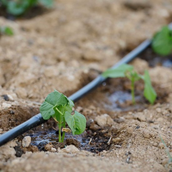 Watermil Drip Systeem Druppelslang Druppelbuis Zwarte Druppelleiding ...