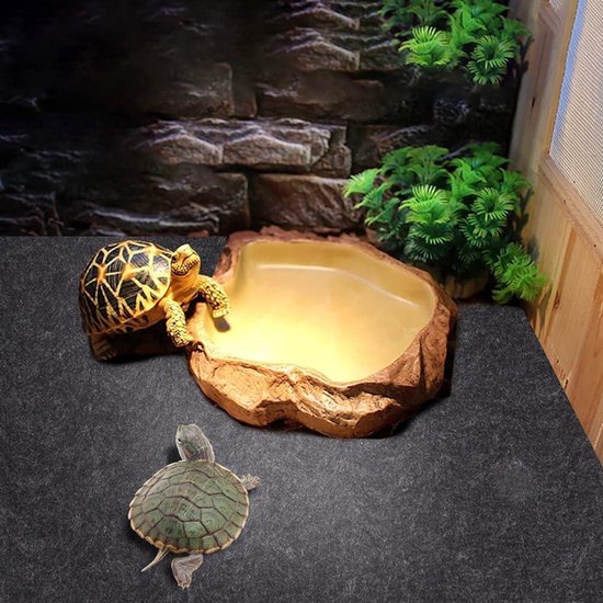 Allecto Plus - Terrarium tapijt voor bebaarde draak en hagedis - Set ...