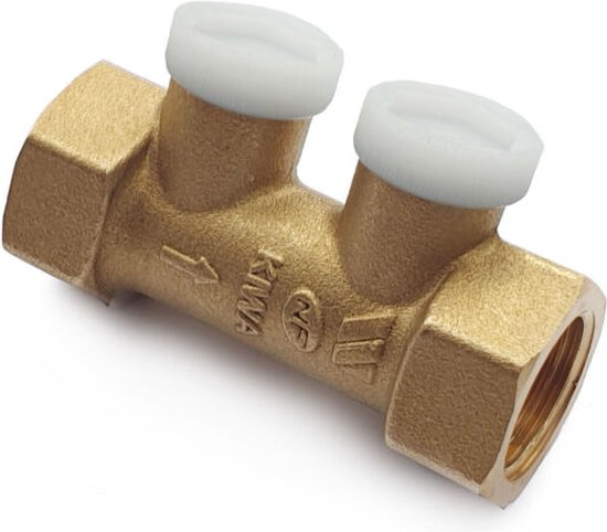 Bonfix TBE || TerugstroomBeveiligings Eenheden Keerklep 1/2 - 2 x binnendraad | bol