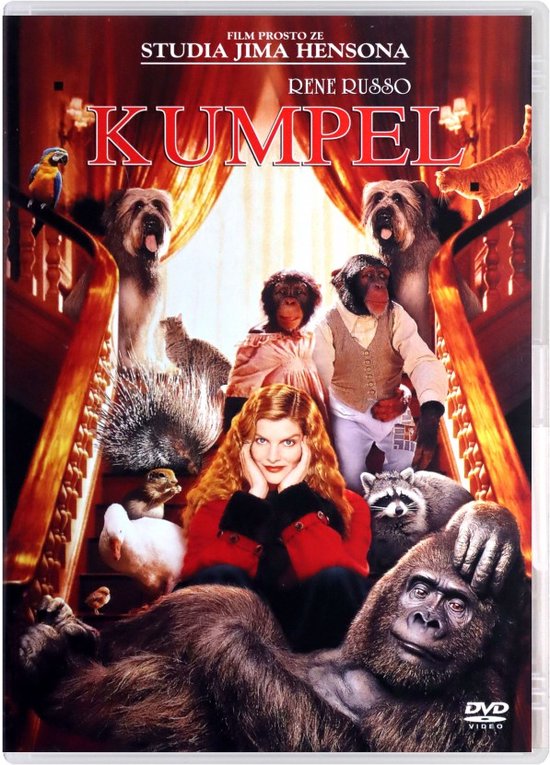 Buddy [DVD] (Dvd), Rene Russo | Dvd's | bol