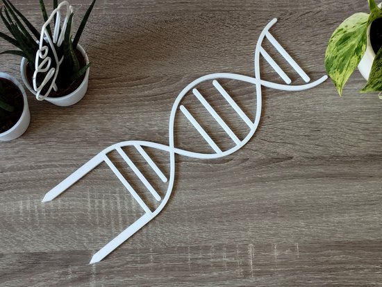 DNA L Wit 3D geprint plantensteun trellis | bol