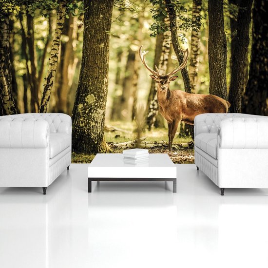 Fotobehang - Vlies Behang - Hert in het Bos - 254 x 184 cm | bol