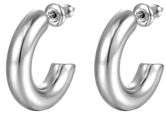 Oorbellen Open - Oorringen - RVS - 2,5 cm - Zilverkleurig | bol