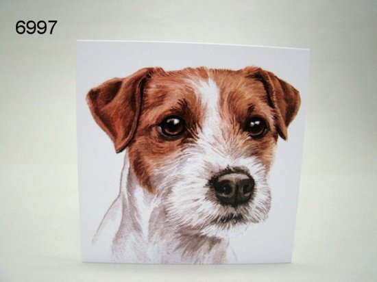 Wenskaart + envelop Parson Jack Russel | bol