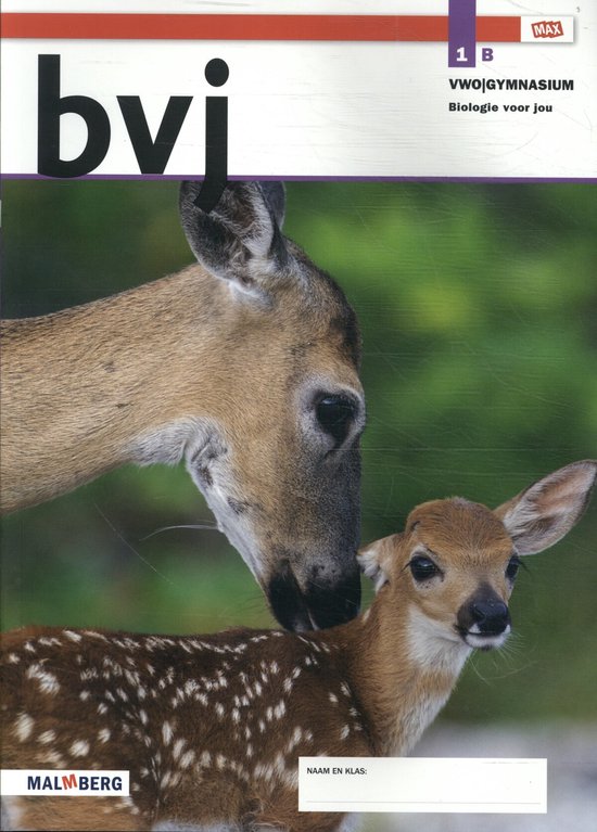 bvj Max 1 vwo/gymnasium B | 9789402068405 | Boeken | bol