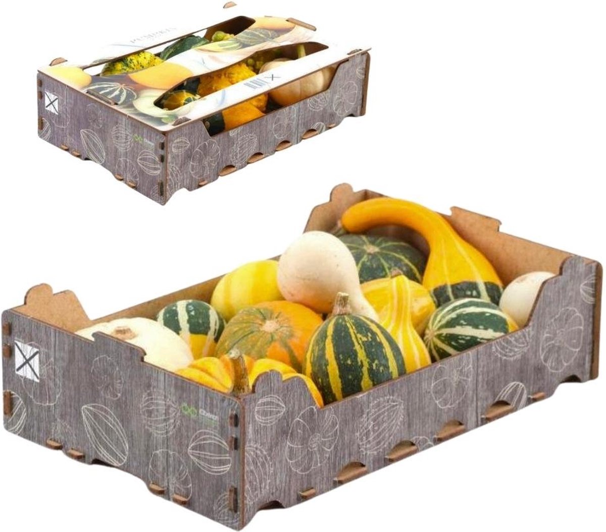 Echte pompoen Giftbox XL | ca. 8 stuks | 3-7 cm Ø | herfstdecoratie ...