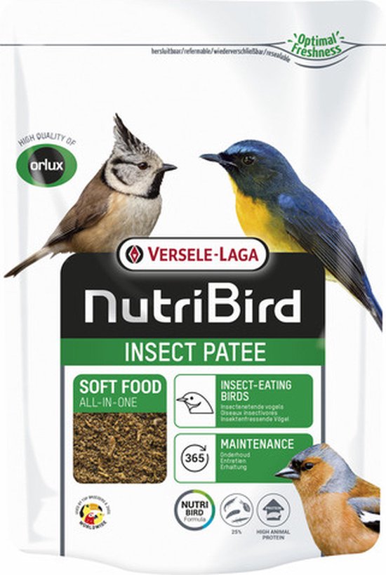 Insect patee 250 gram - Supplementen - Groenling (carduelis chloris ...