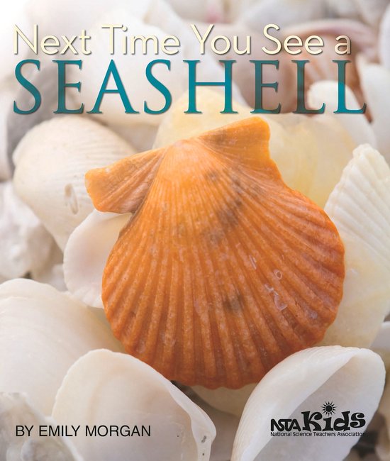 Next Time You See - Next Time You See a Seashell (ebook), Emily Morgan ...