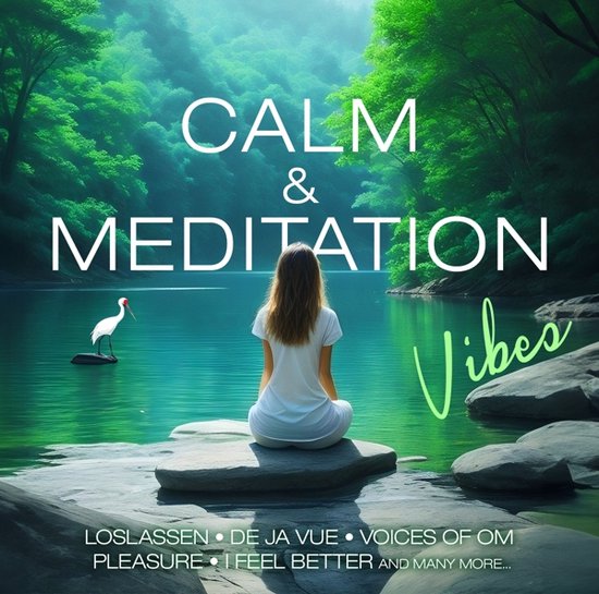Various - Calm & Meditation Vibes (CD), Various | Muziek | bol