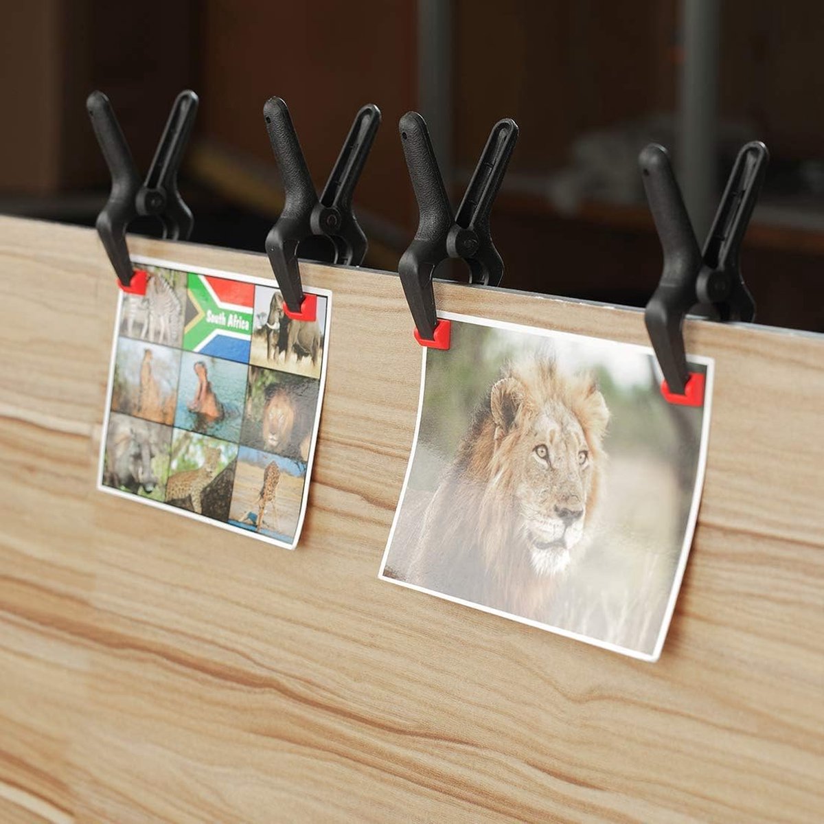 16 Stuks Nylon Veerklem Set, Lijmklemmen Veerklem, Achtergronden ...