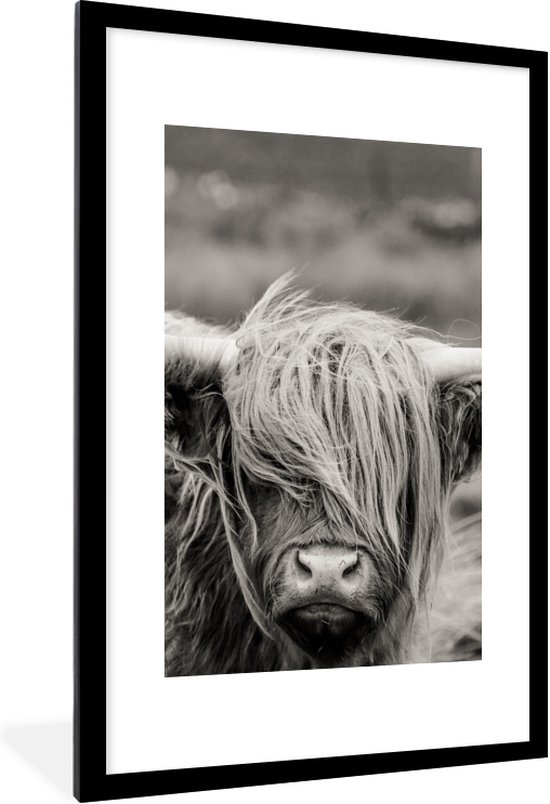 Fotolijst incl. Poster Zwart Wit- Schotse hooglander - Koe - Dieren - Zwart wit -... | bol