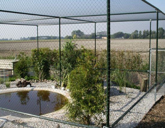 NK Vogelnet voor volière PE 1,2mm draaddikte / 60mm maaswijdte ...