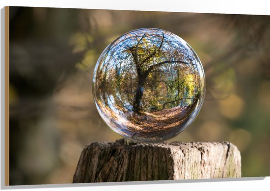 Hout - Bubbel - Boom - Hout - Reflectie - Bos - 120x80 cm - 9 mm dik ...