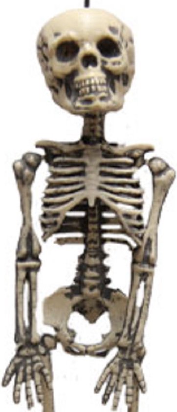 Horror/Halloween skelet/geraamte - hangend - 30 cm - hangdecoratie | bol