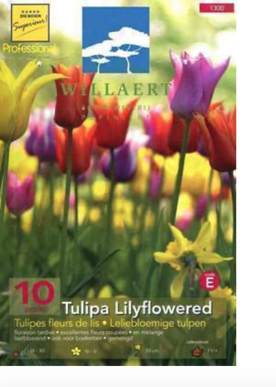 Tulipa lelie gemengd-mix | bol