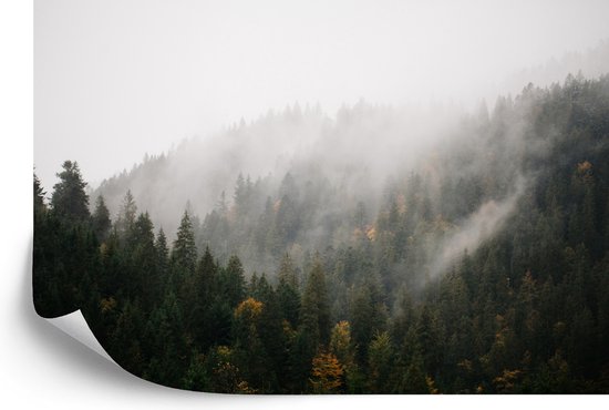 Fotobehang Bos In Mist | bol.com