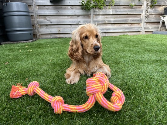 Honden Touw - Honden Speelgoed - Honden Kauw Speelgoed - Bijt Speelgoed Hond - Honden... | bol
