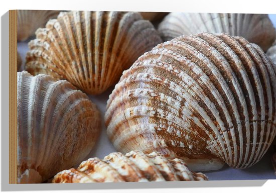 Hout - Schelpen - Ribbels - Strepen - 60x40 cm - 9 mm dik - Foto op ...