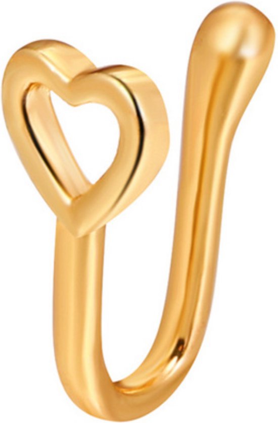 Fake Neuspiercing Goud - Hartje - Nep Neuspiercing Sieraad - Neusring ...