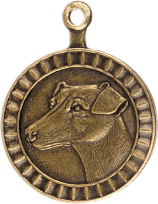 Hondenpenning - Rashond Jack Russel | bol