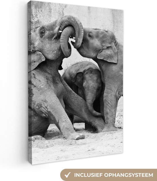 Canvas schilderij - Olifant - Dieren - Zwart wit - Foto op canvas - Canvasdoek - 40x60... | bol