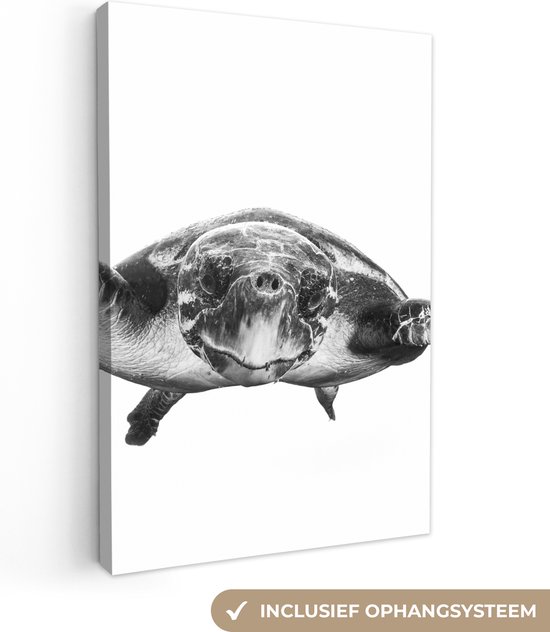 Canvas schilderij - Schildpad - Dieren - Zwart - Wit - Illustratie - Canvas doek -... | bol