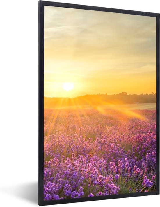 Poster - Fotolijst - Bloemen - Zon - Lavendel - Bomen - Landschap ...