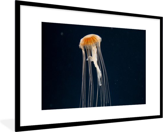 Fotolijst incl. Poster - Kwal - Zeedier - Tentakels - 90x60 cm ...