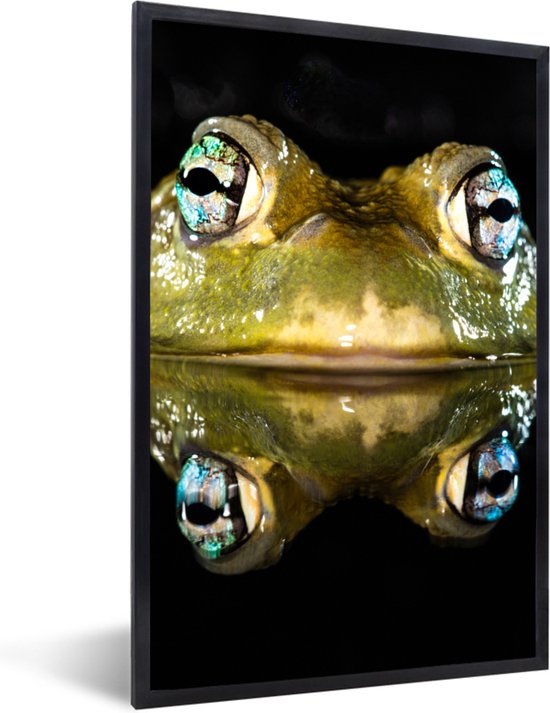 Fotolijst incl. Poster - Kikker - Ogen - Portret - 60x90 cm ...