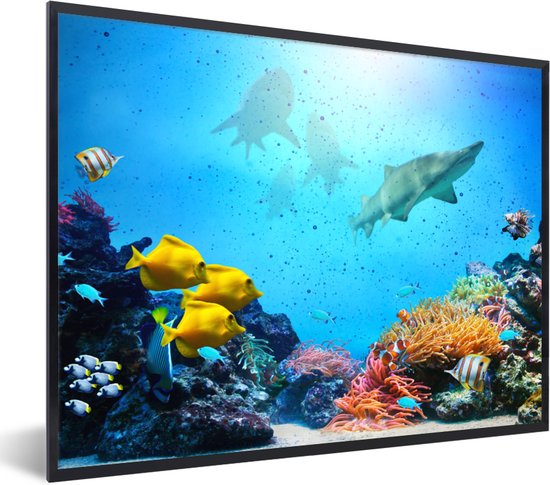 Fotolijst incl. Poster - Zee - Vissen - Kleuren - 80x60 cm ...