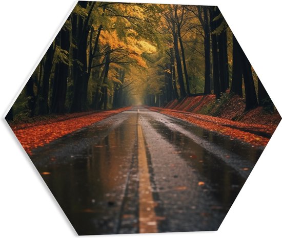 PVC Schuimplaat Hexagon - Bos - Bomen - Weg - Bladeren - Natuur - 50x43 ...