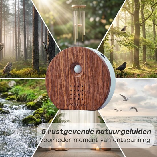 Voqella Vogelhuisje met Geluid - Vogelgeluiden Huisje met Sensor ...