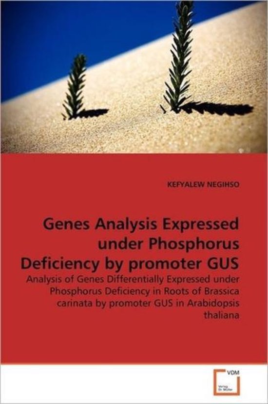Genes Analysis Expressed under Phosphorus Deficiency by promoter GUS ...
