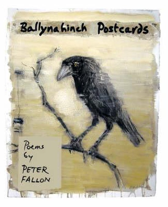 Ballynahinch Postcards, Peter Fallon | 9780954897666 | Boeken | bol