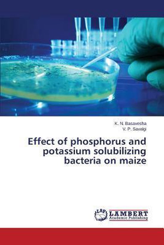 Effect of phosphorus and potassium solubilizing bacteria on maize, Basavesha K N |... | bol