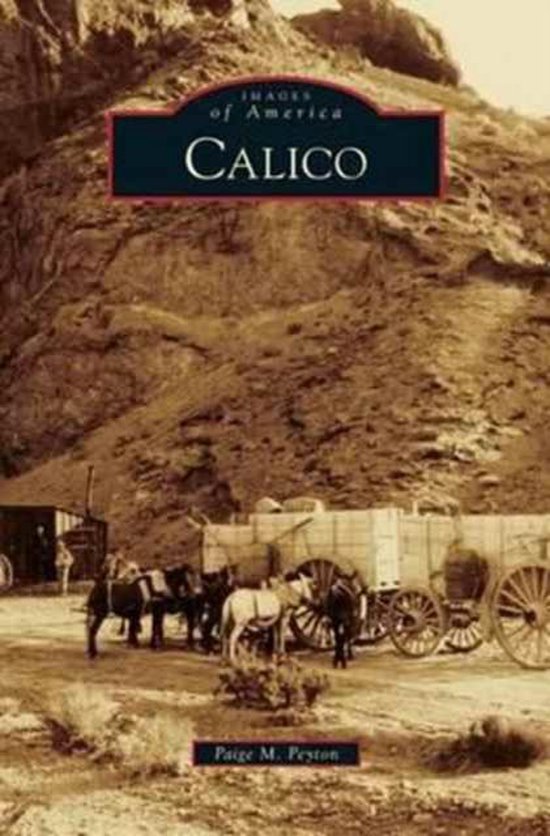 Calico, Paige M Peyton | 9781531659851 | Boeken | bol