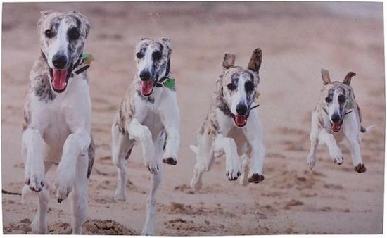 Deurmat windhonden - set van 4 stuks | bol.com