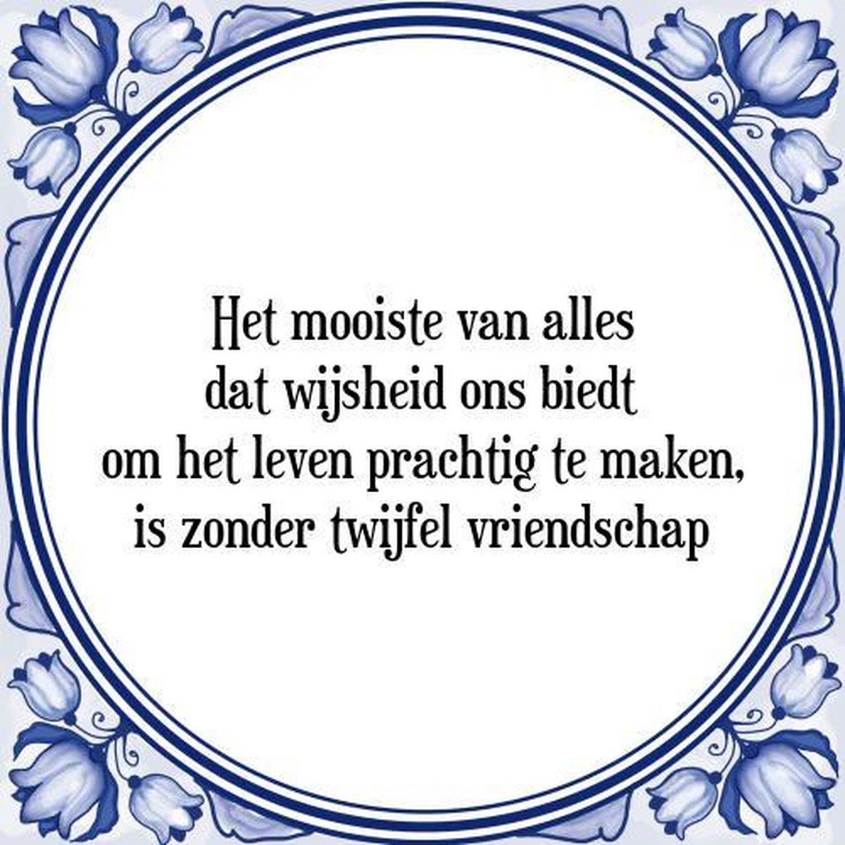 Tegeltje met Spreuk (Tegeltjeswijsheid): Het mooiste van alles dat wijsheid ons biedt... | bol.com