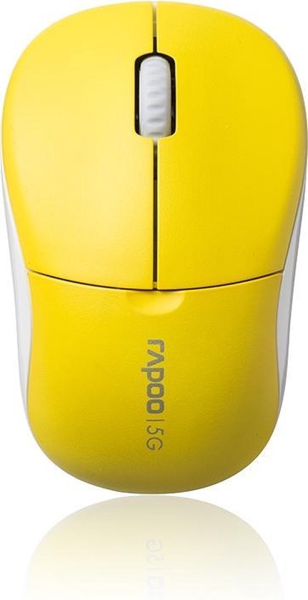 Rapoo 1090P | bol.com