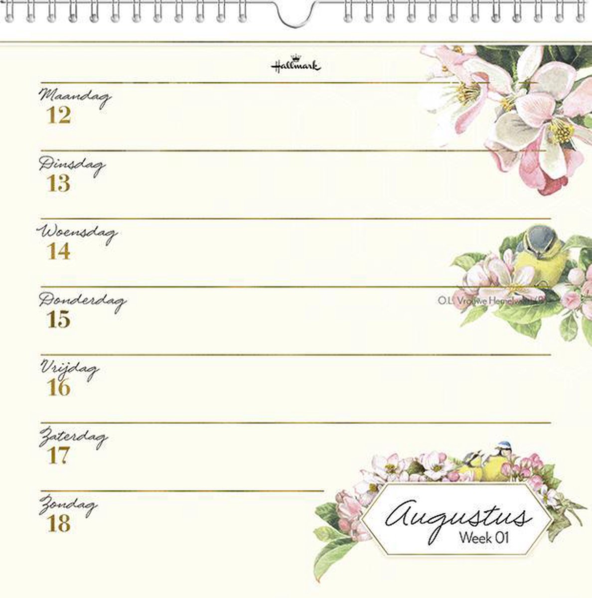 Hallmark weekkalender ‘Marjolein Bastin’, 2019 | bol.com
