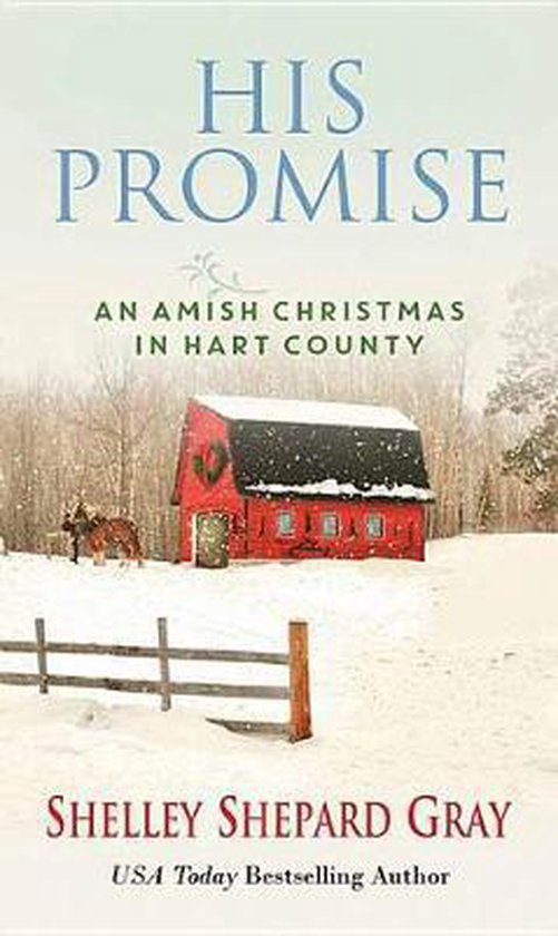 His Promise, Shelley Shepard Gray | 9781643580180 | Boeken | bol.com