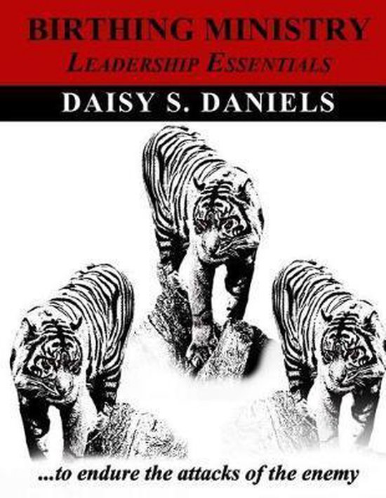 Birthing Ministry, Daisy S Daniels | 9780991400201 | Boeken | bol