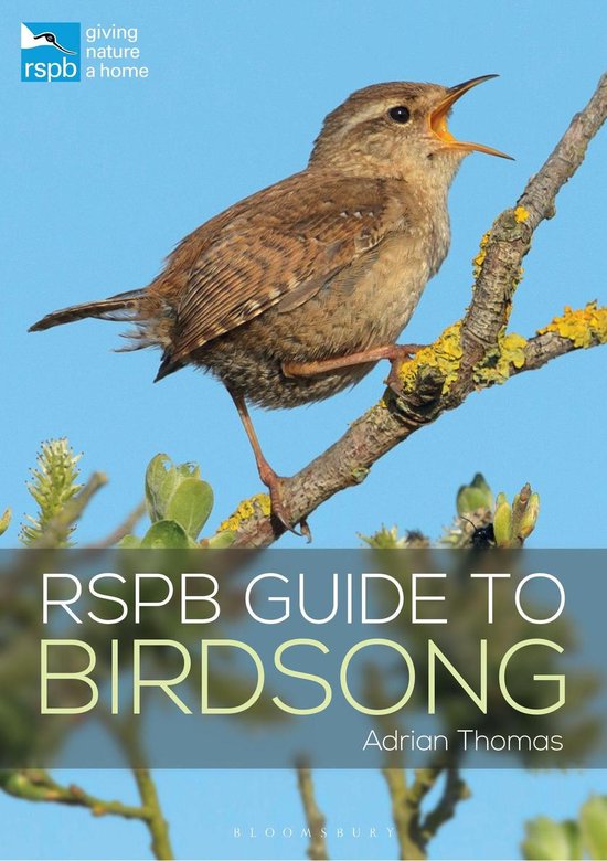RSPB - RSPB Guide to Birdsong (ebook), Adrian Thomas | 9781472955883 ...
