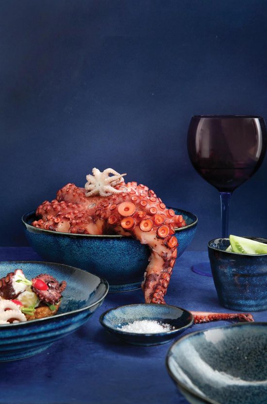 Tokyo Design Studio - Cobalt Blue Pasta Plate 21x5.2cm | bol.com