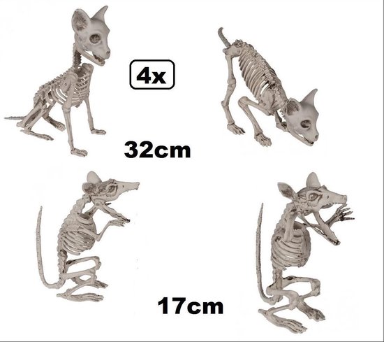4x Katten/ratten skelet Halloween/horror. | bol.com