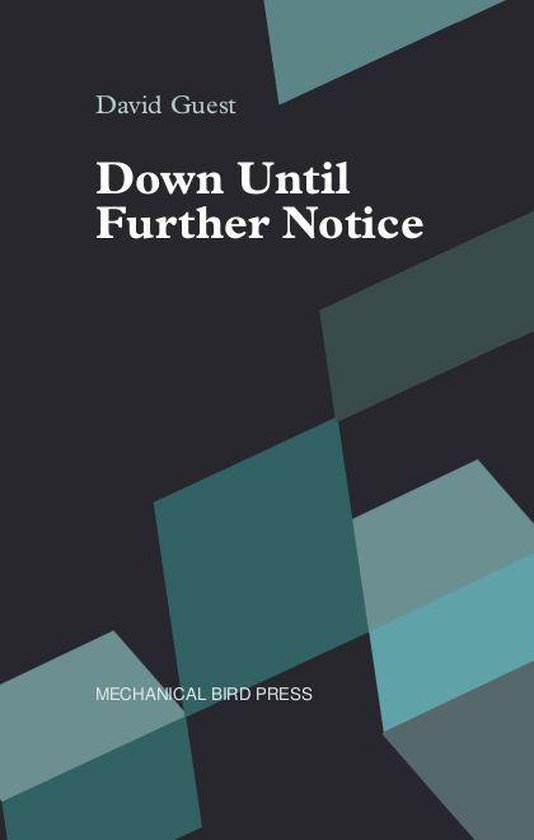 Down Until Further Notice (ebook), David Guest | 1230003528112 | Boeken ...