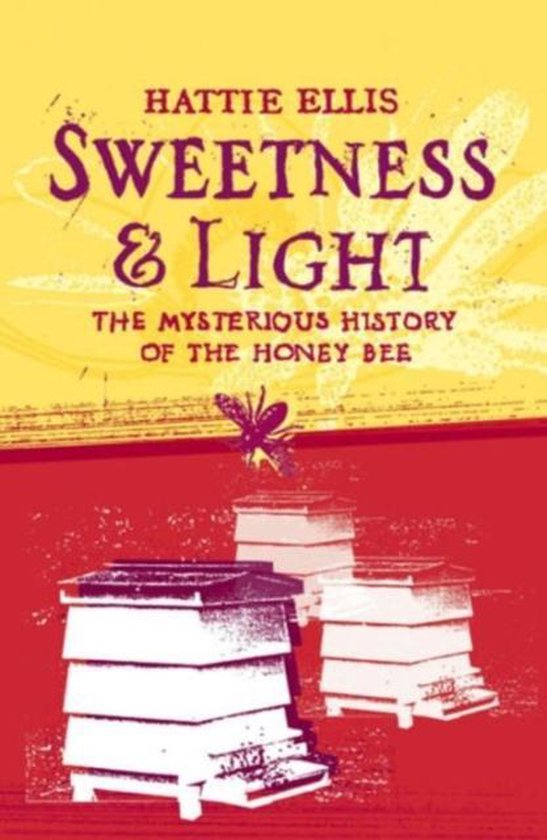 Sweetness and Light | 9780340734520 | Hattie Ellis | Boeken | bol.com