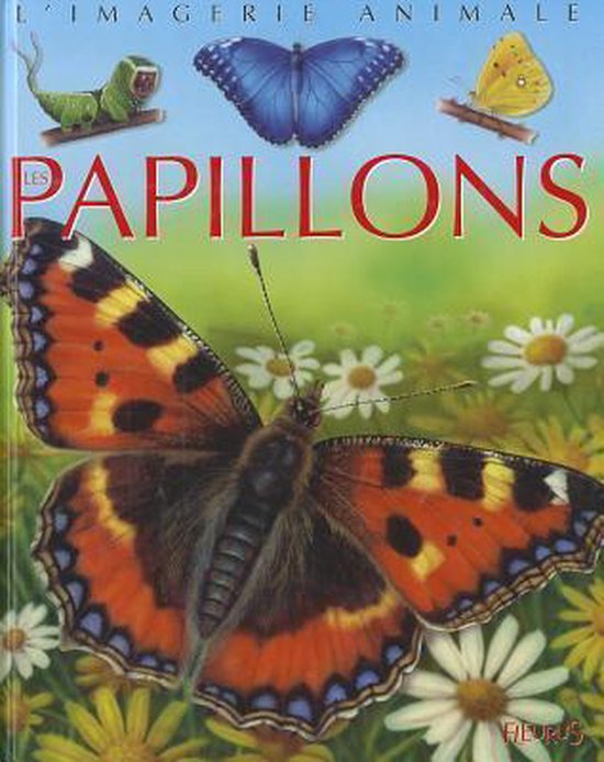 Papillons, ÉMilie Beaumont | 9782215104339 | Boeken | bol.com