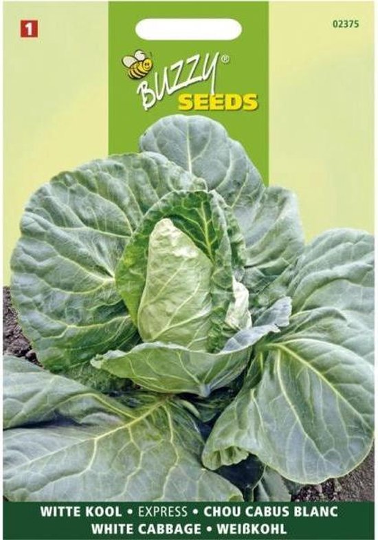 Witte Kool Express Vroege Spitse - Brassica oleracea - set van 9 stuks ...
